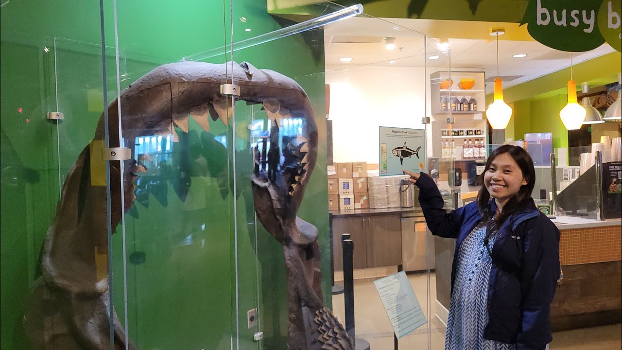 A wonderful child playground - Discovery Cube Science Center - YouTube