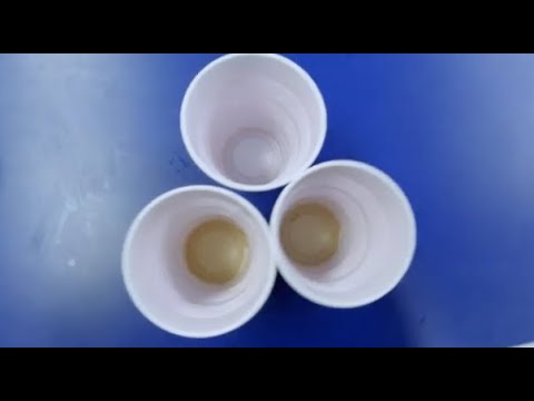 Bean Pong - YouTube