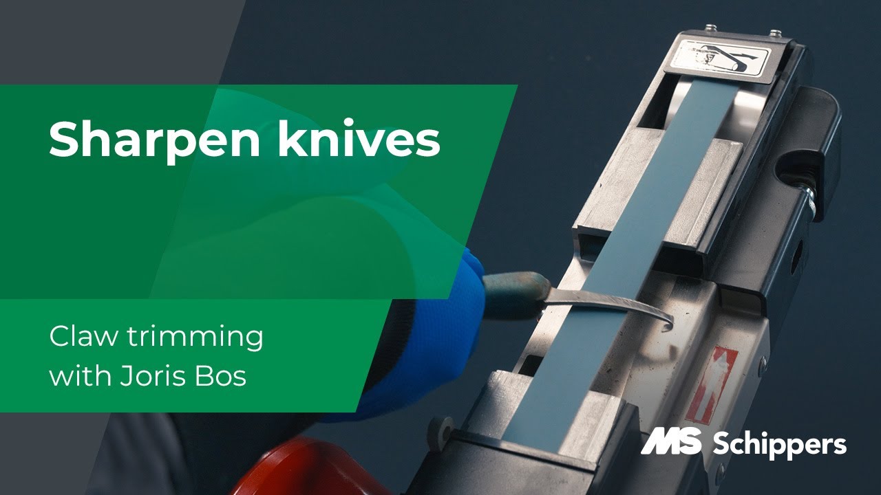 Claw trimming Tips & Tricks | TIP 2 Sharpen knives (EN) - YouTube
