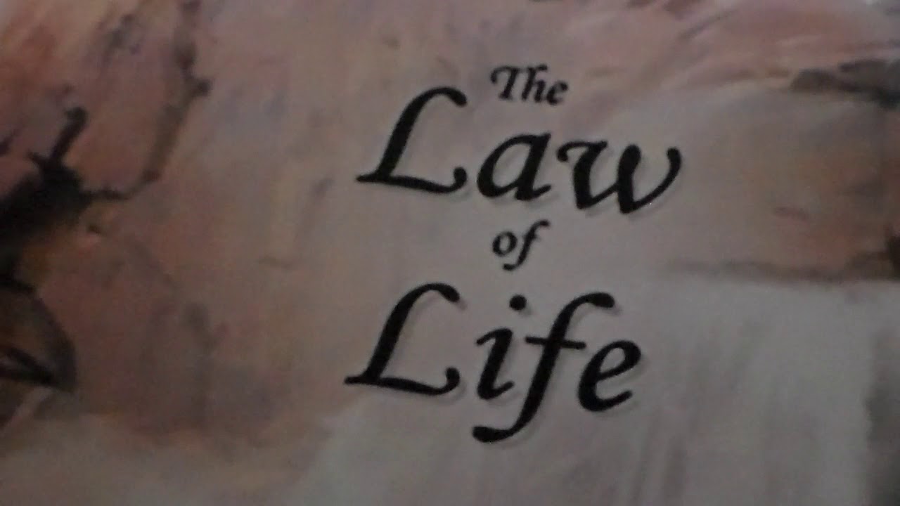 Law and Life Chapter 3 Part 3 - YouTube