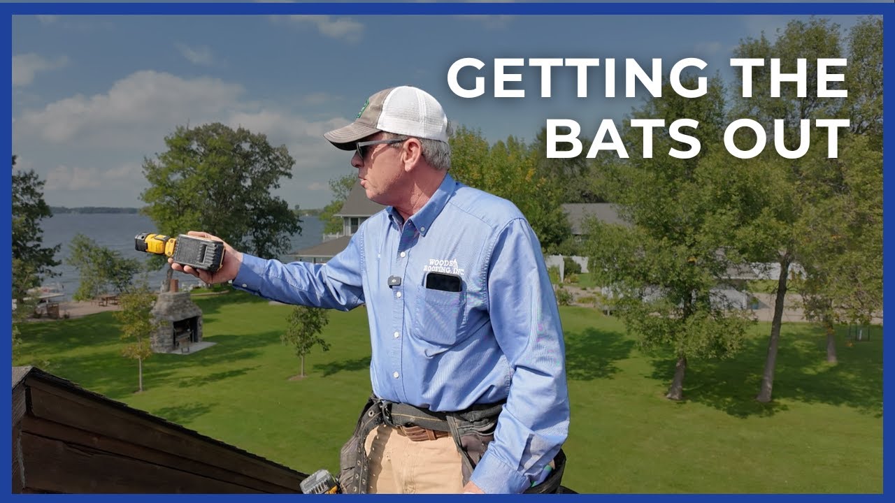 Bat Removal Before We Shingle The House - YouTube