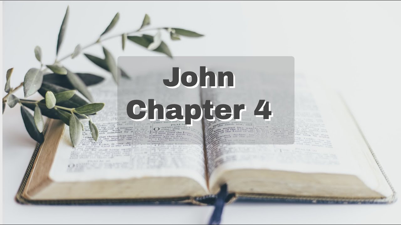 Have You Read This? John Chapter 4 - YouTube
