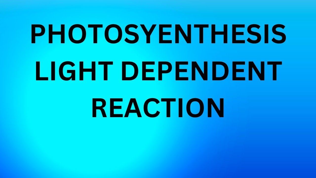 photo synthesis. light dependent reaction. - YouTube