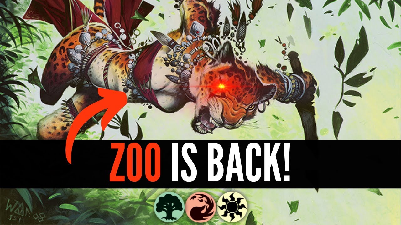 Domain Zoo is GREAT! in MTG PAUPER - YouTube