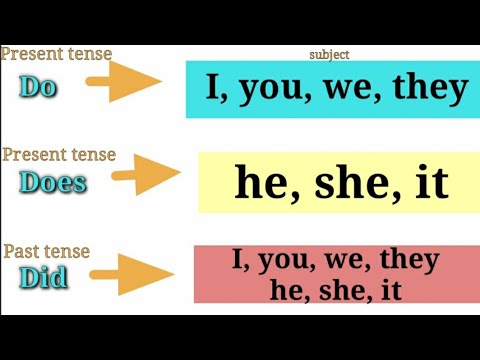 Do, Does, Did || Easy Grammar - YouTube