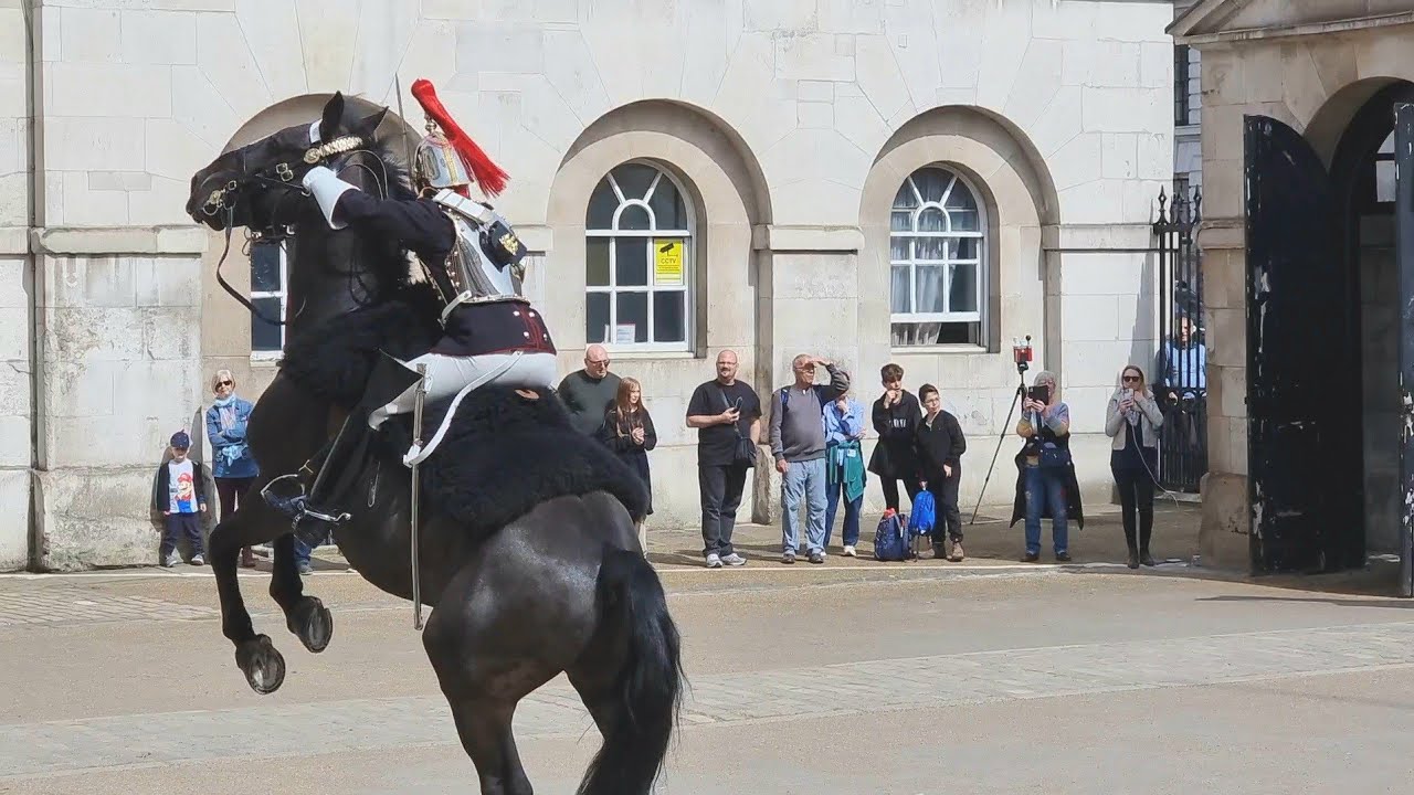 King's Guard Showcases Amazing Skills to Stay Mounted - YouTube