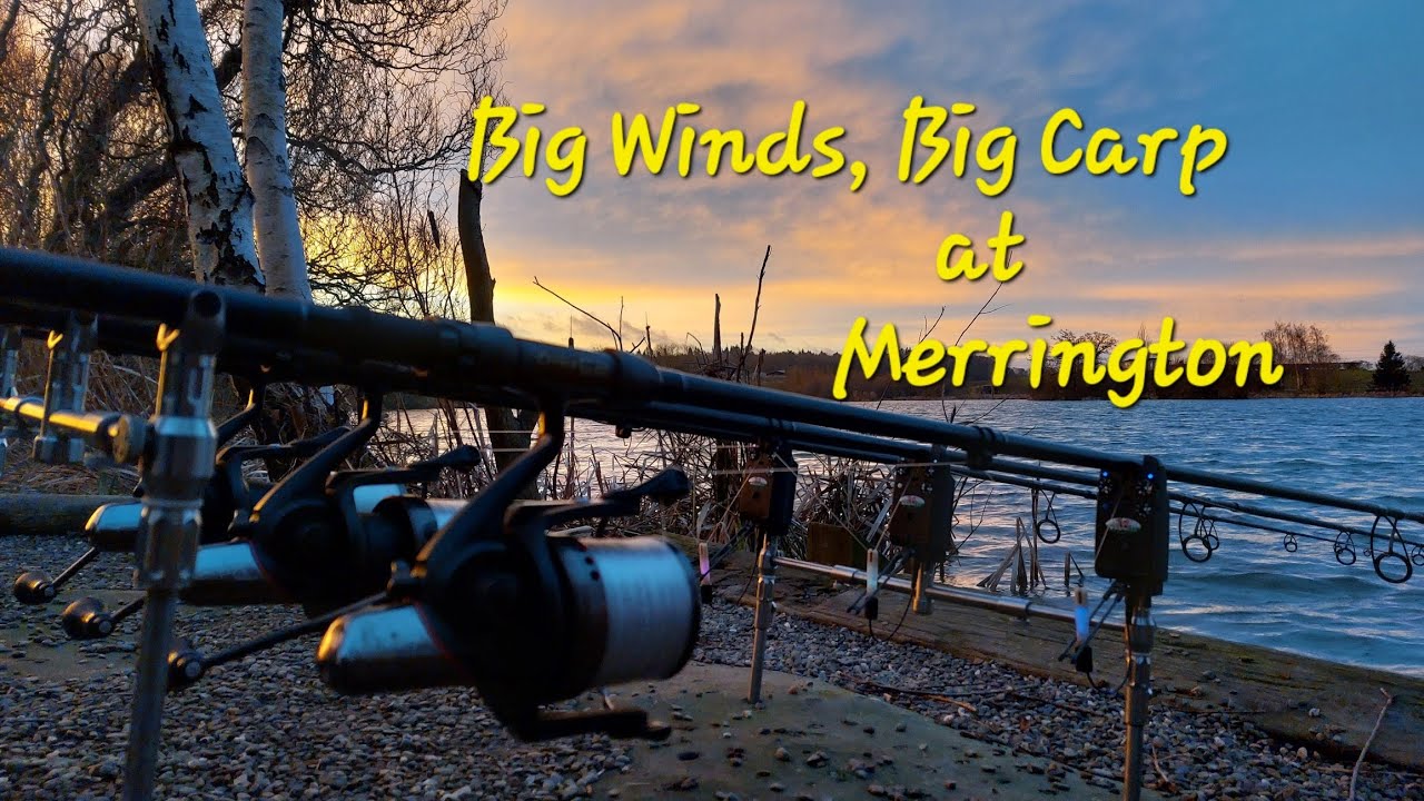 Winter Carp Fishing - Shropshire Mirrors - Merrington Winter Ticket ...