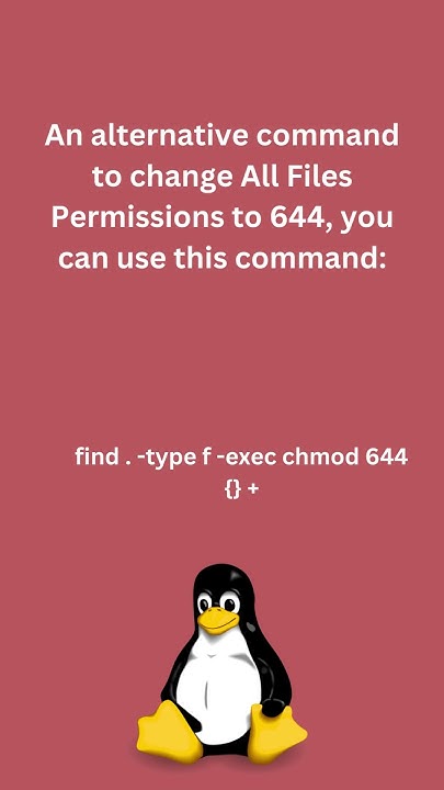 Change All Files Permissions to 644 #linux #ubuntu #command #terminal #commandline #files #chmod ...