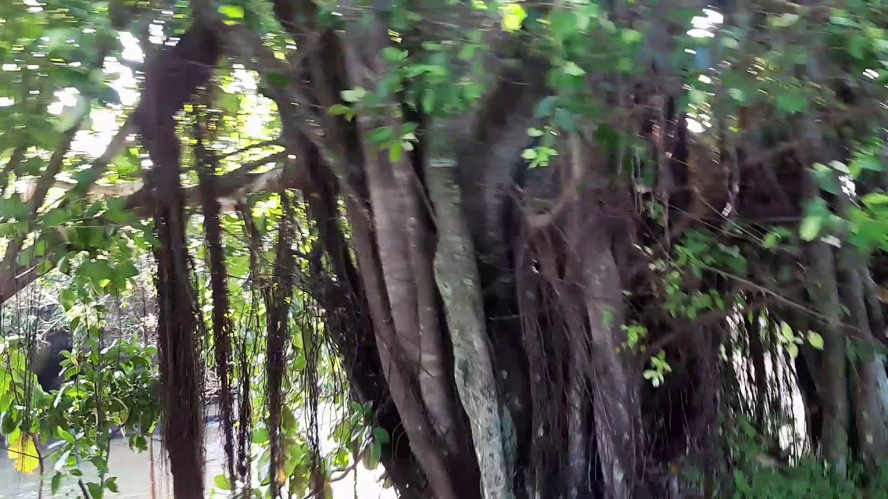 Eksotisnya Wisata Batu-batu Pantai Banua Patra Balikpapan - YouTube