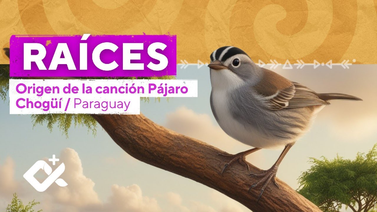 Origen de la canción Pájaro Chogüi en Paraguay - YouTube