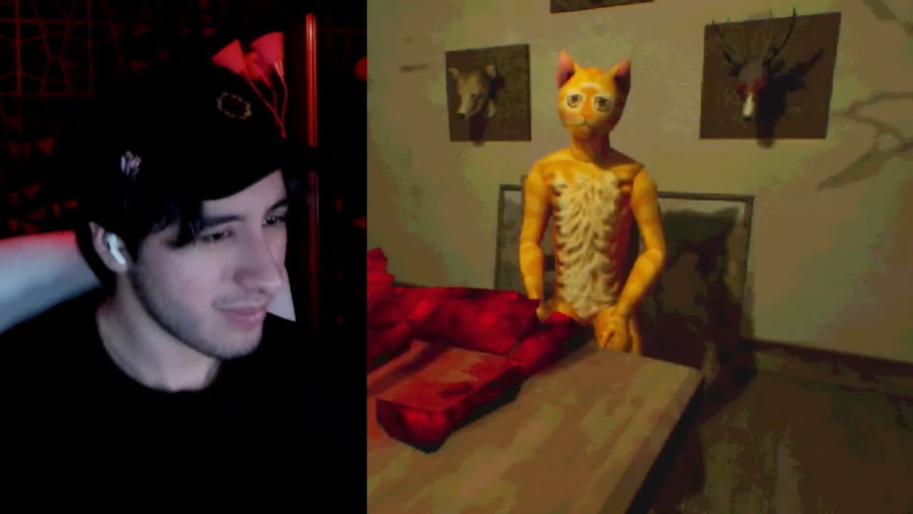 ESTE GATO ESTA LOCO... | cat named mojave - YouTube