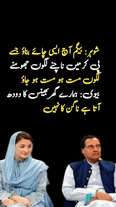 Pakistani Funny Politicians | Maryam Nawaz Funny | Safdar Funny - YouTube
