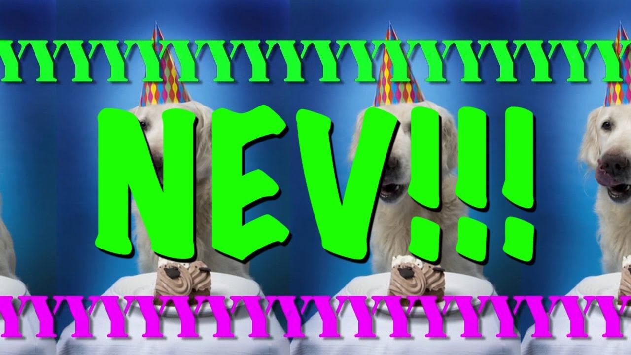 HAPPY BIRTHDAY NEV! - EPIC Happy Birthday Song - YouTube