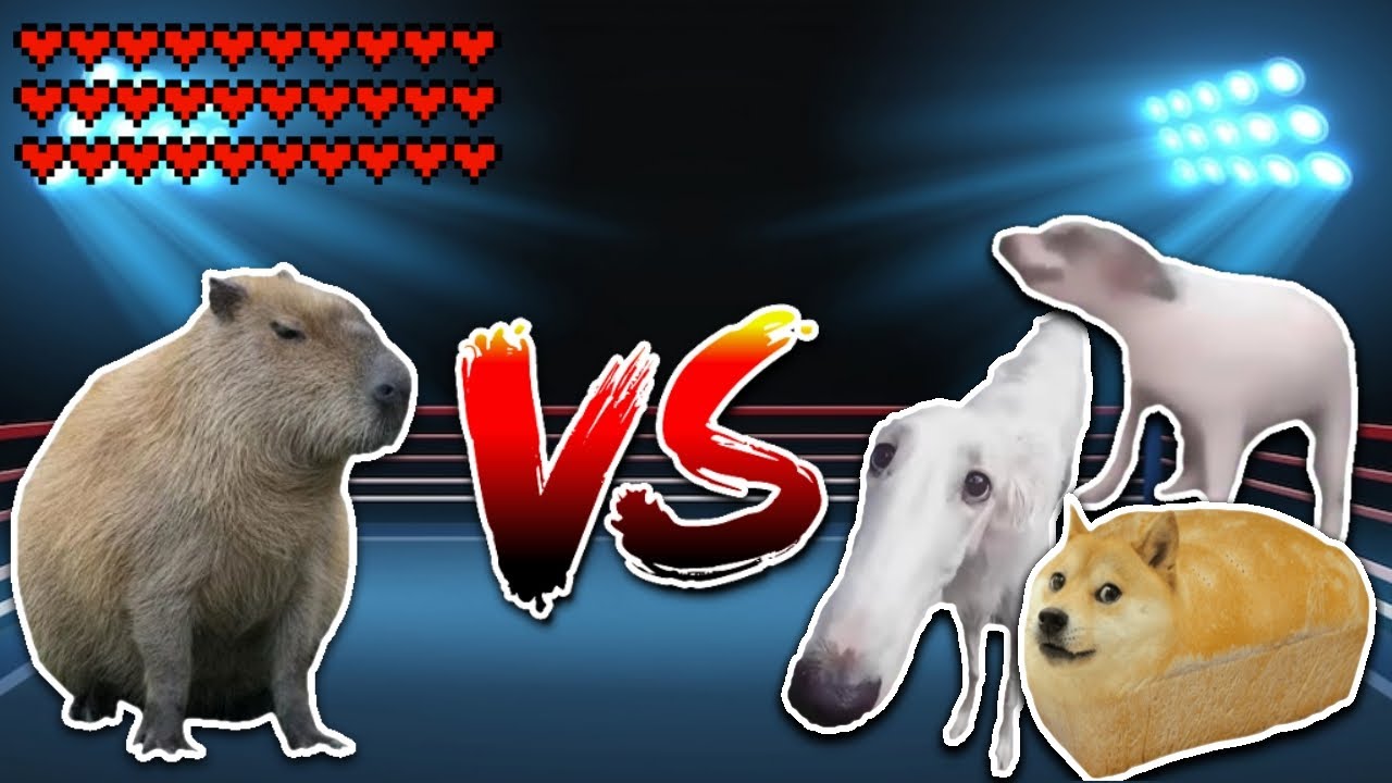 Giant Capybara vs All Dogs! Meme battle - YouTube