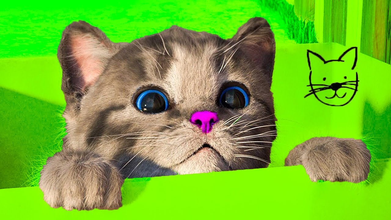 ANIMATED LITTLE KITTEN ADVENTURE LONG SPECIAL - FUNNY CARTOON CAT AND ...