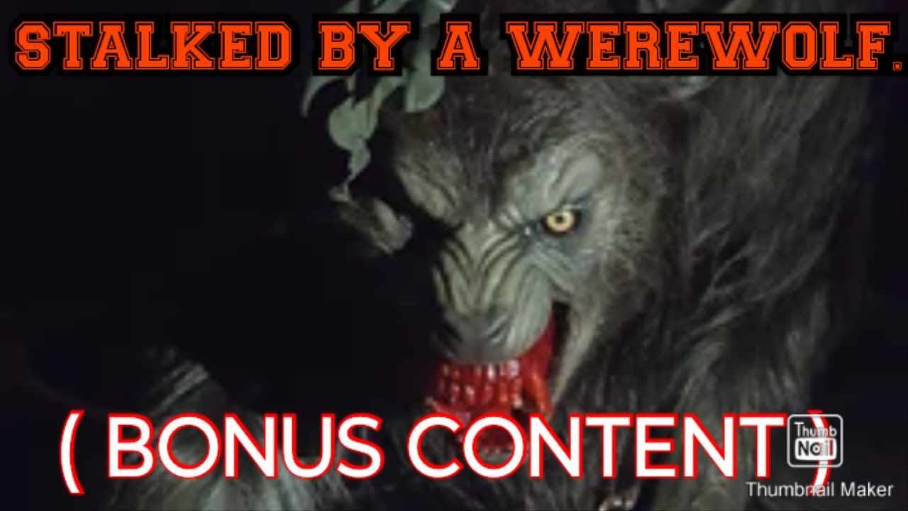 Werewolf At My Window. ( Bonus Content ) - YouTube