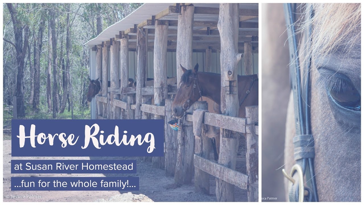 Susan River Horse Riding - Horse Riding at Susan River Homestead is fun ...