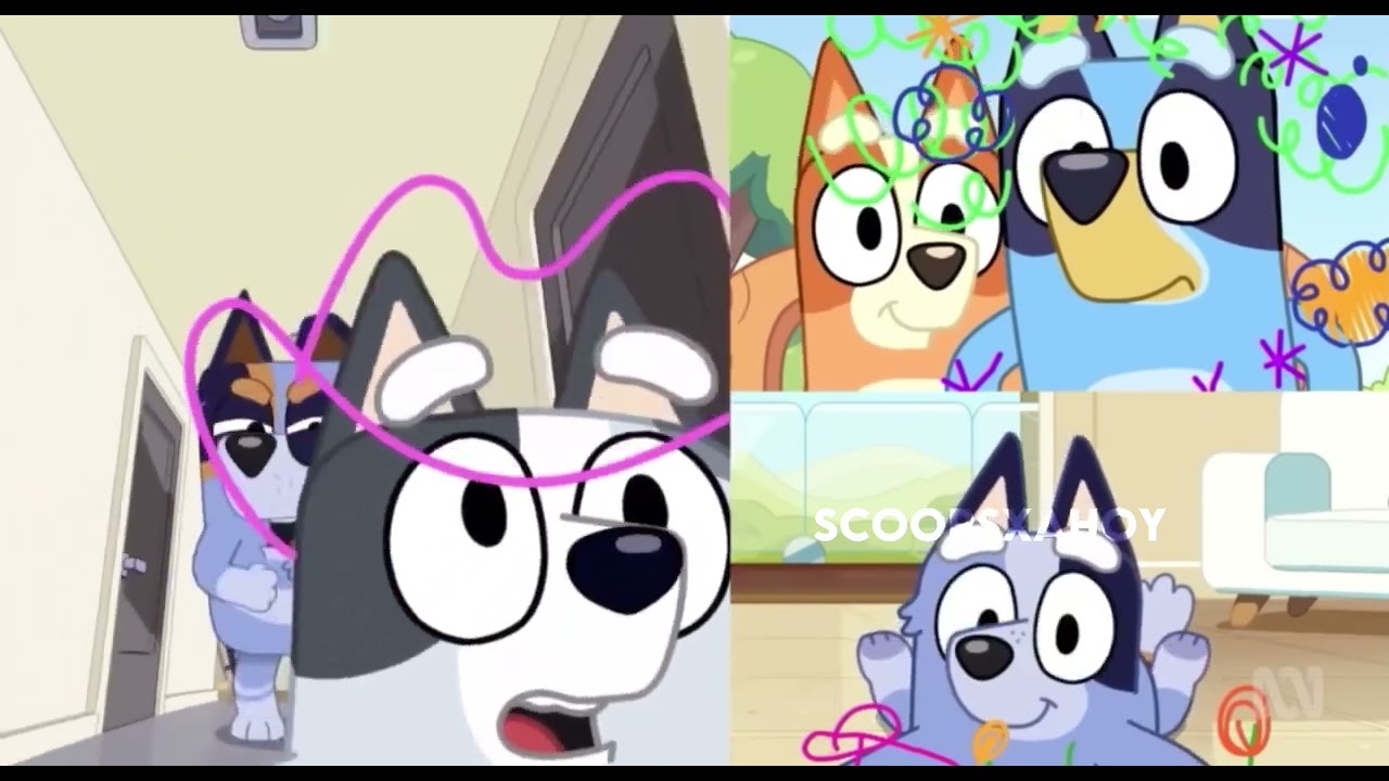 I edited Bluey because sHeS jUsT lOoKiNg fOr BaKeD bEaNs || scoopsxahoy ...