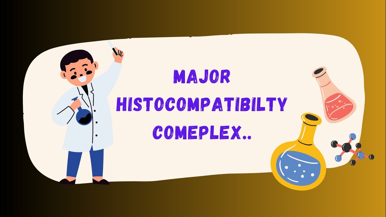 Biochemistry - Major Histocompatibilty Complex.. - YouTube