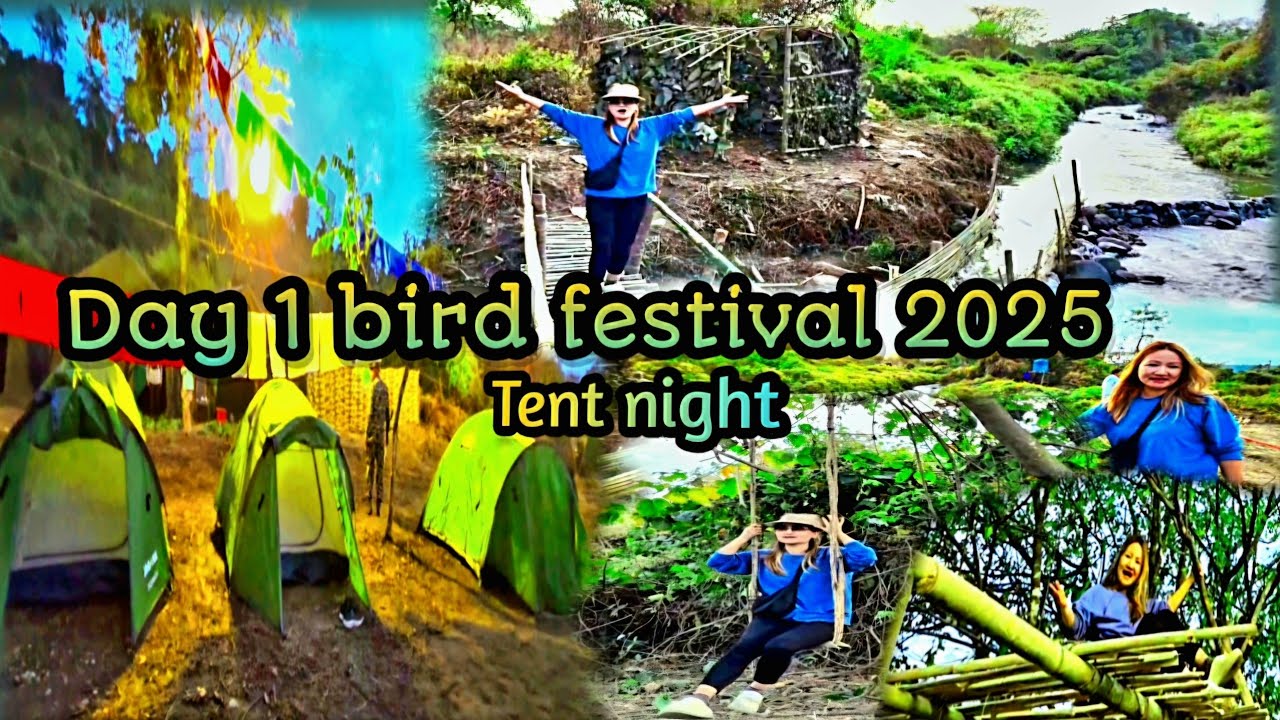 Stunning Bird Festival Tents With A View ⛺️ Bird Festival - YouTube