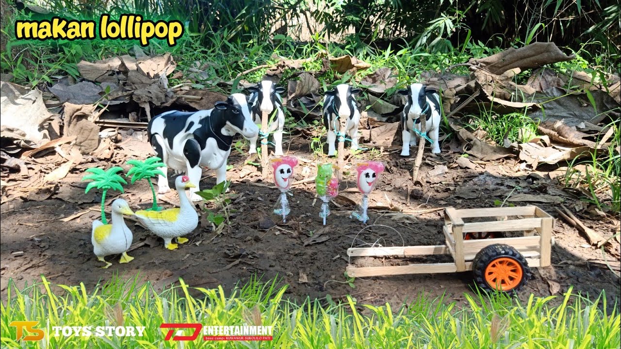 SAPI LUCU MENEMUKAN LOLLIPOP || SAPI MOO - YouTube