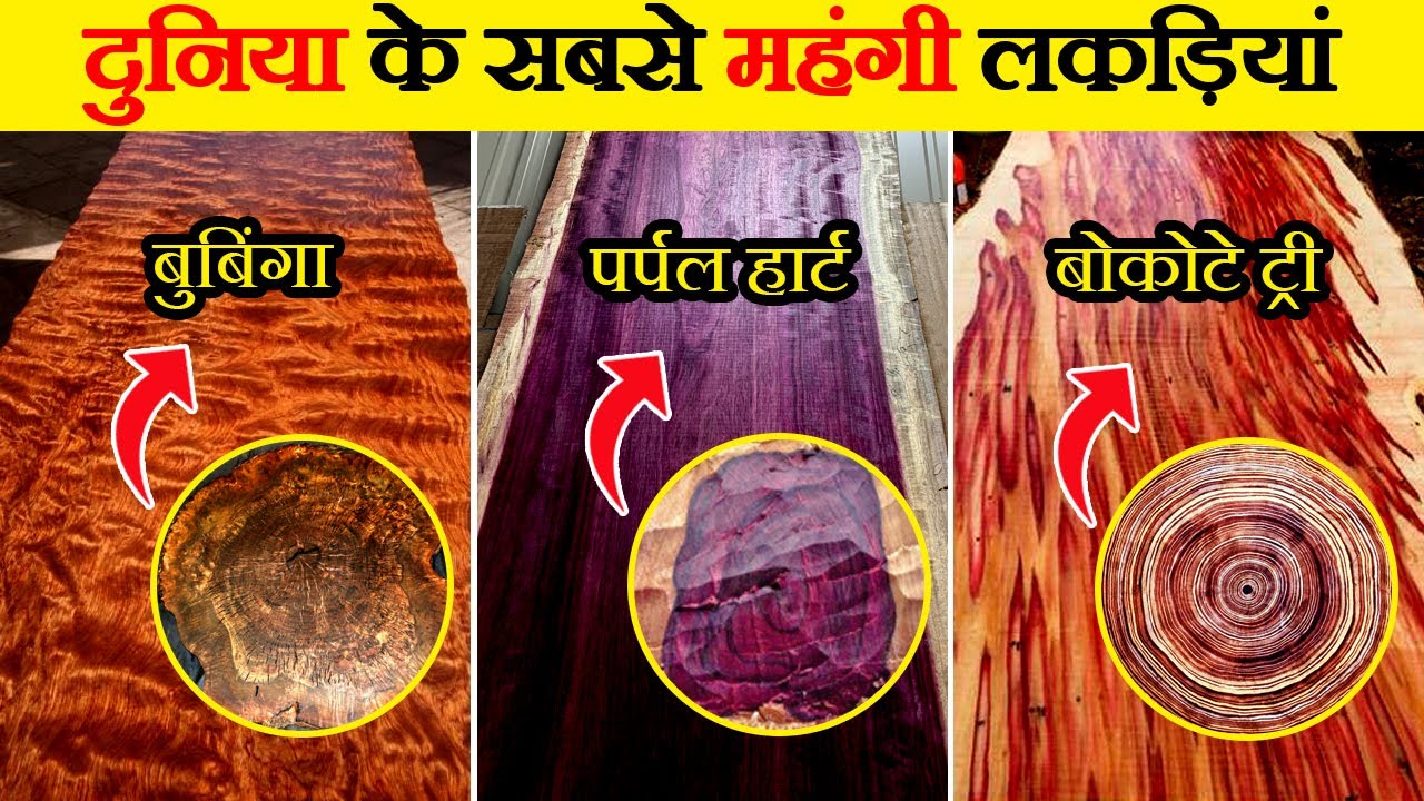 दुनिया के सबसे महंगी लकड़ियां | Most Expensive Tree Woods in the World ...