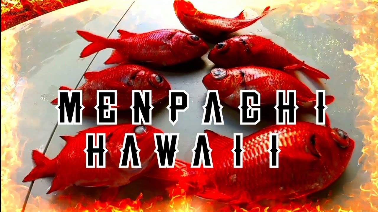 fishing for red in hawaii|menpachi fishing[catch cook eat - YouTube