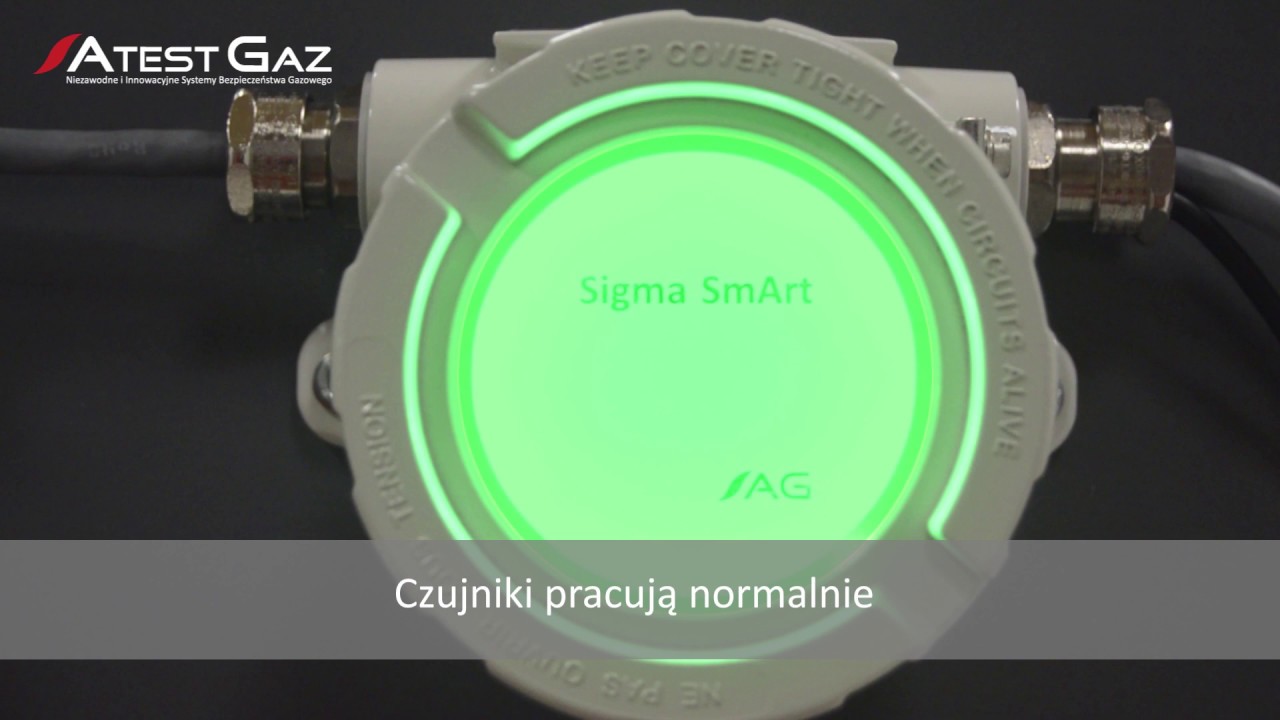 System Detekcji i Bezpieczeństwa Gazowego Sigma Gas: prezentacja ...