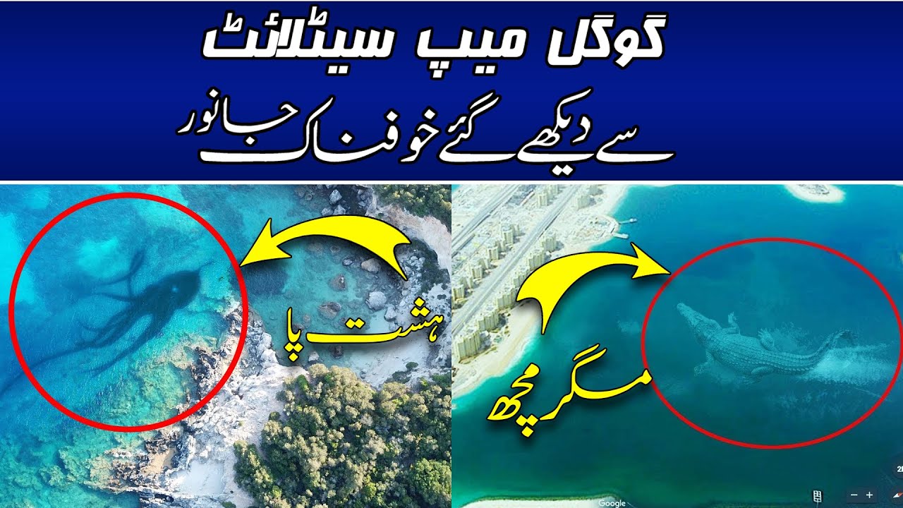 6 Mysterious Deep Sea Creatures Spotted On Google Earth @KhaufnakDuniya ...