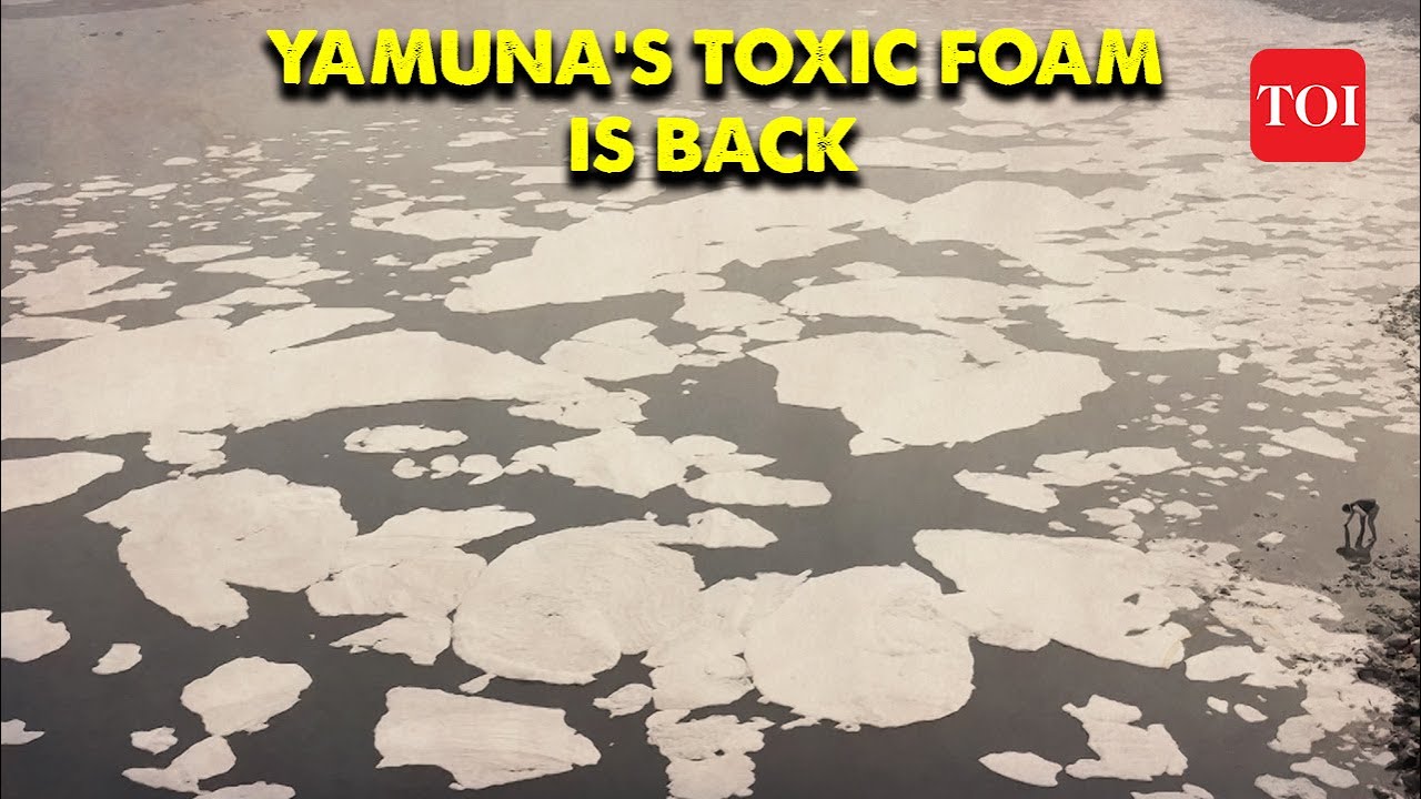 Delhi's Toxic Foam Nightmare: Panic as Yamuna River Turns Deadly | # ...