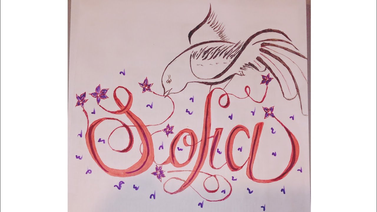 Sofia calligraphy and bird drawing | Name calligraphy & drawing - YouTube