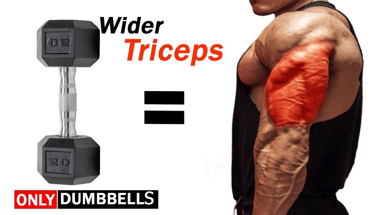 Make your TRICEPS Wider with 4 BEST exercises with DUMBBELLS - YouTube