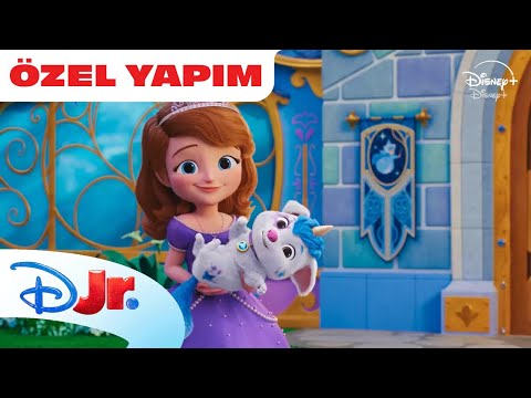 Prenses Sofia ve Sihirli Saray Dostları | Prenses Sofia | @DisneyPlusTR