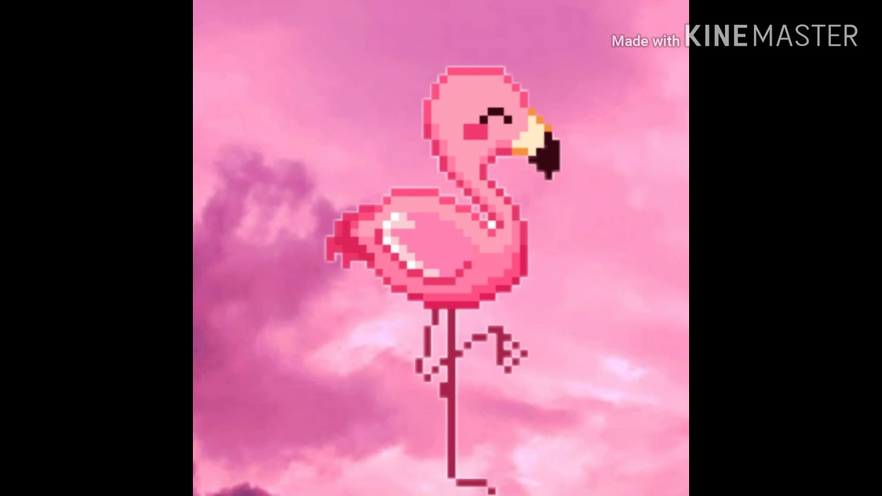 Flamingo song - YouTube