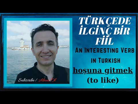 An Interesting Verb in Turkish - Türkçe İlginç Bir Fiil (like - hoşuna gitmek)