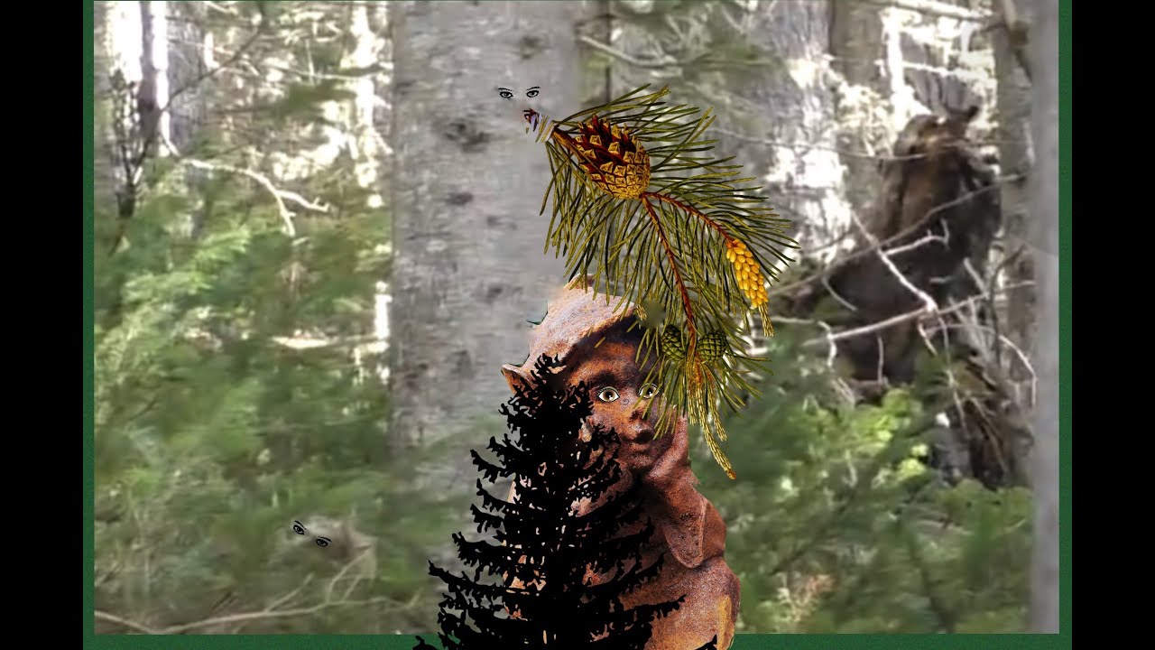 REAL RUSSIAN LITTLE CRYPTIDS AKA GNOME'S - YouTube