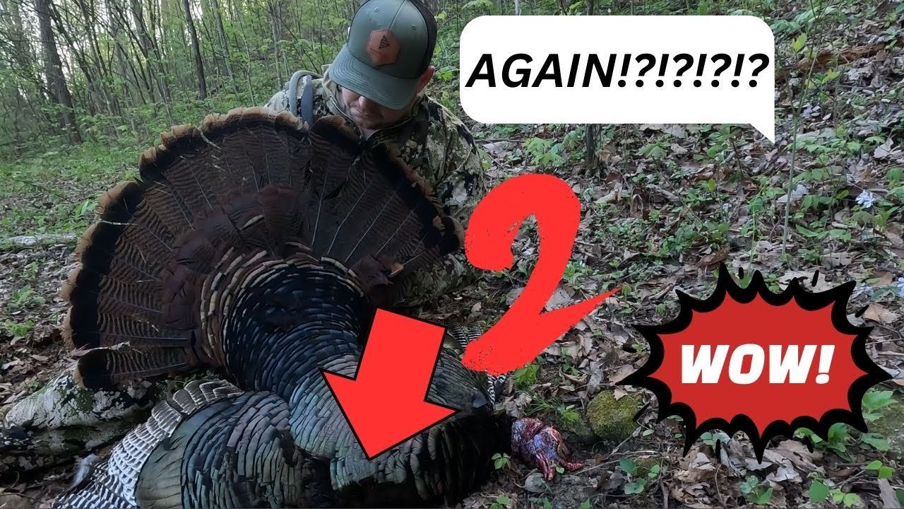 KY Turkey Hunt-Boss Tom Down-2024- #turkeyhunting #sitkagear - YouTube