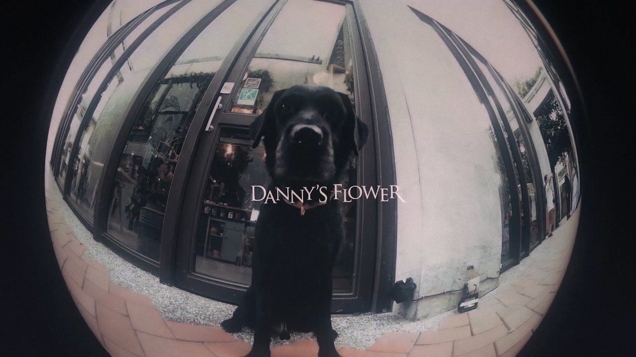 Danny’s flower（花藝店）篇 】 駁二藝術特區 強者我朋友 人物專訪系列 - YouTube