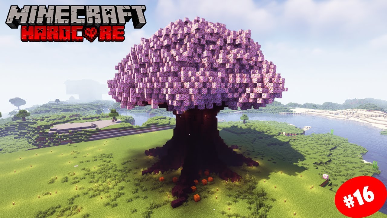 I Build Biggest Charry Tree In Minecraft 1.20 || Minecraft Java || #16 - YouTube