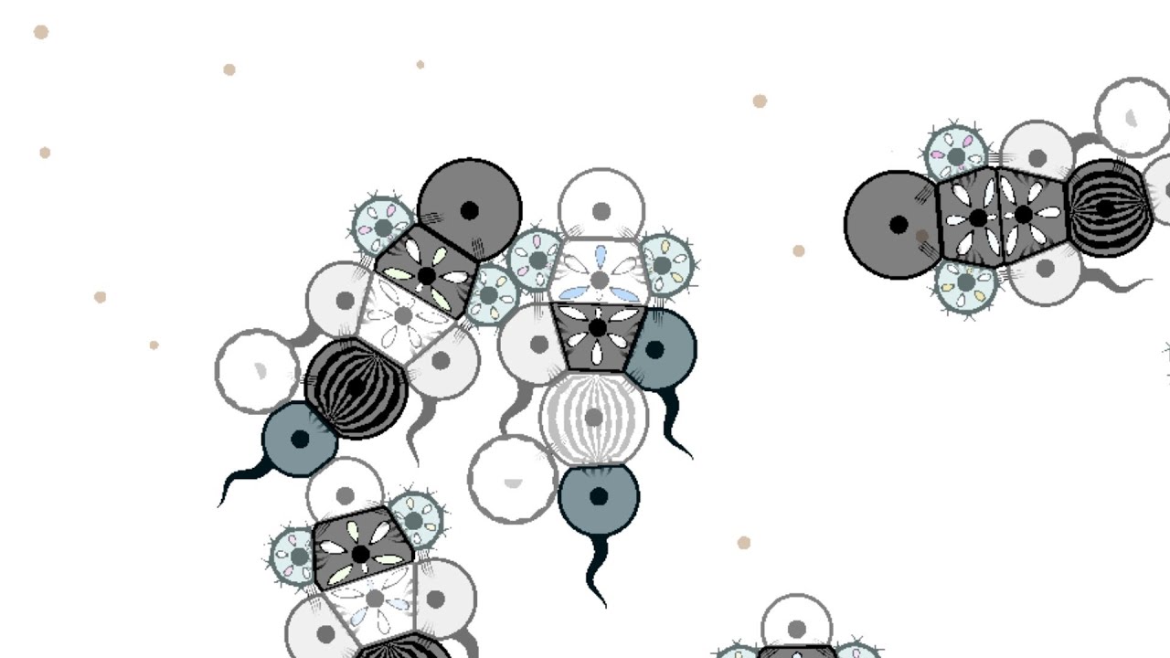 Molly Fish | Cell Lab (Teaser) - YouTube