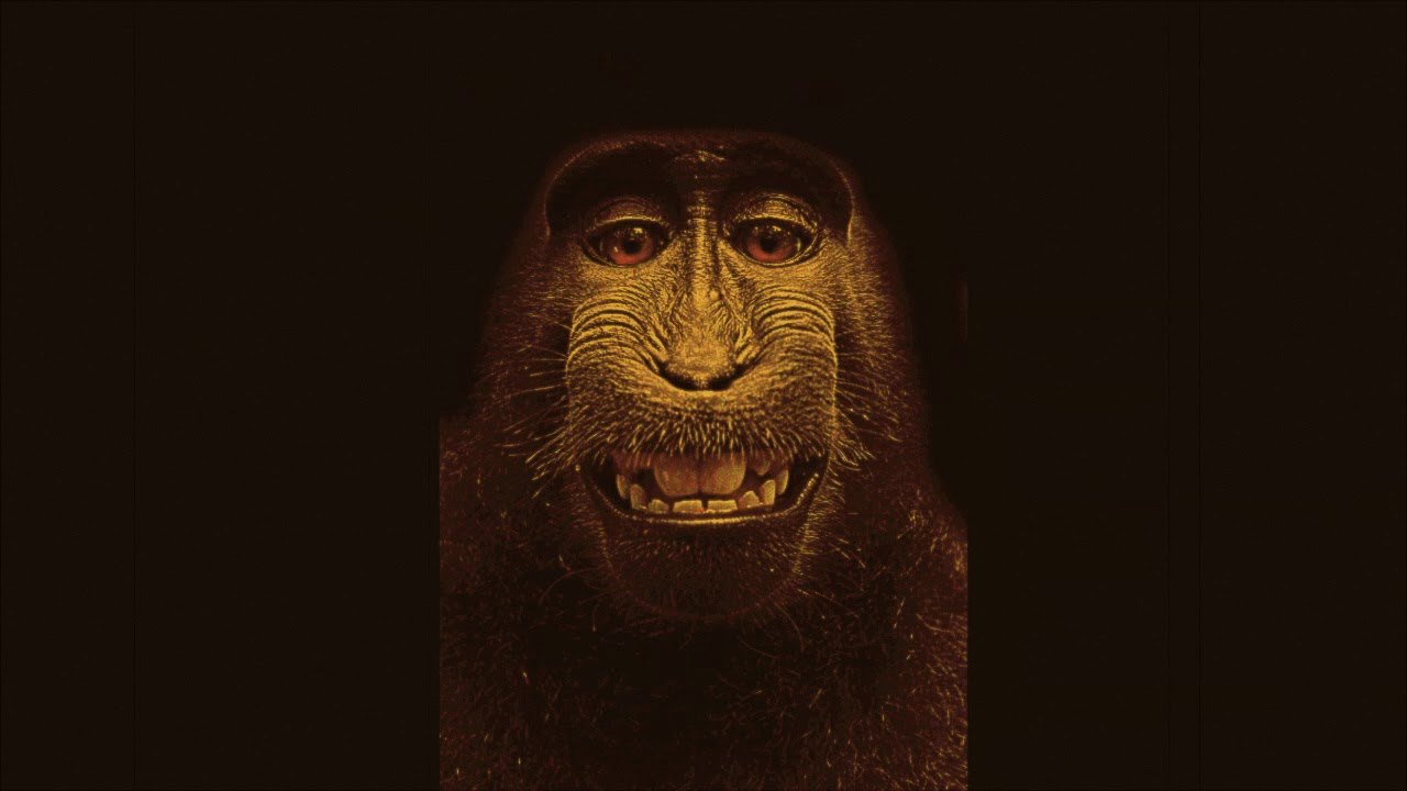 THE DECONSTRCTION OF DUKE MONKEY - YouTube