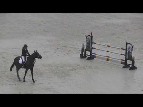 Video of LIGHT SHOW ridden by JORJA ROSE JONES from ShowNet! - YouTube