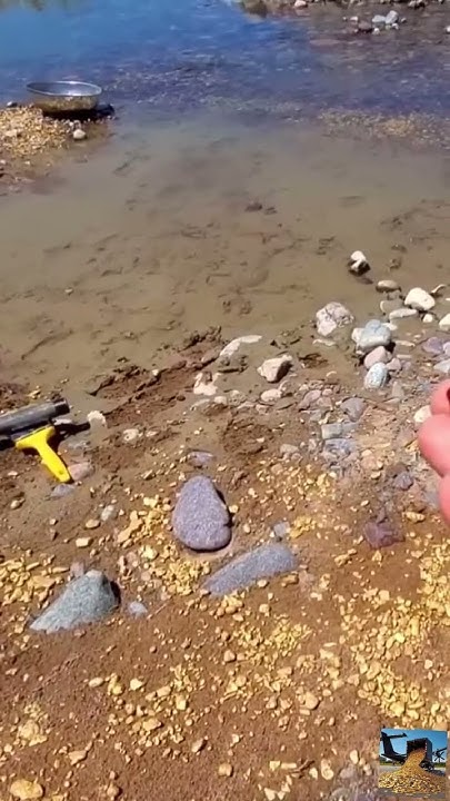 FOUND TREASURE CHEST WHİLE METAL DETECTİNG / TREASURE HUNT #archaeology - YouTube