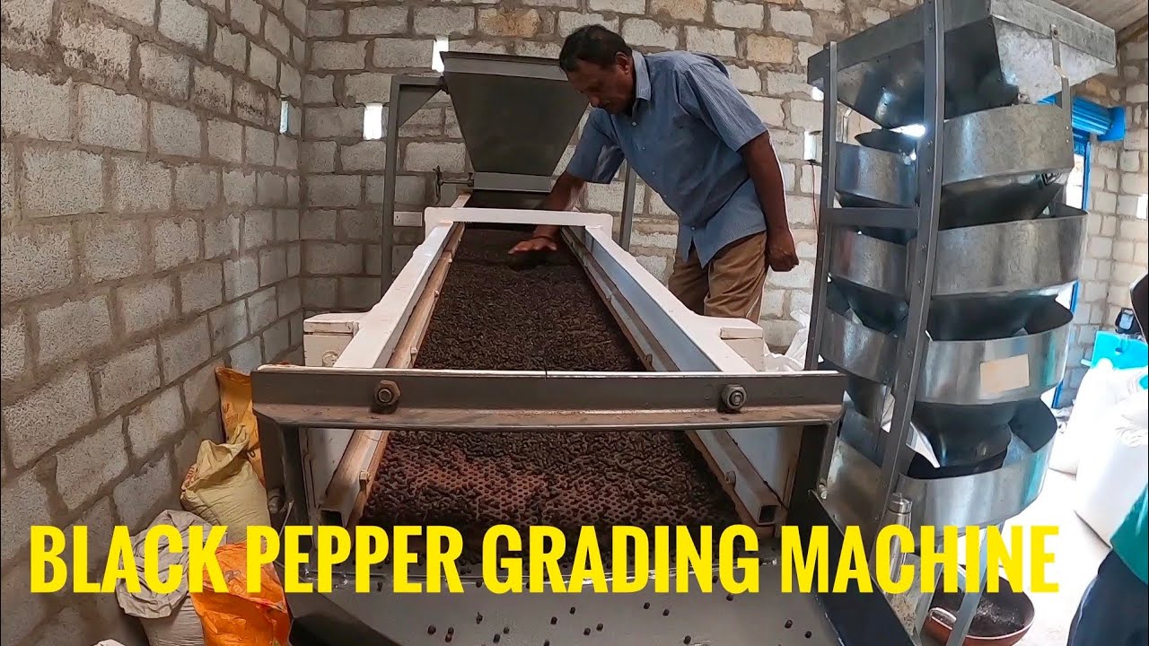 BLACK PEPPER GRADING MACHINE TO GET QUALITY BLACK PEPPER#blackpepper# ...