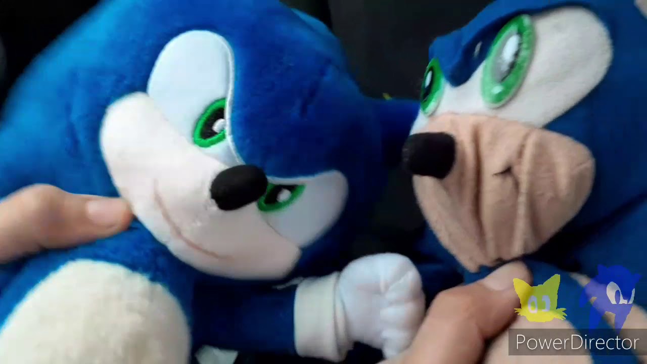 Hedgehog vlogs #3 The sonic movie - YouTube