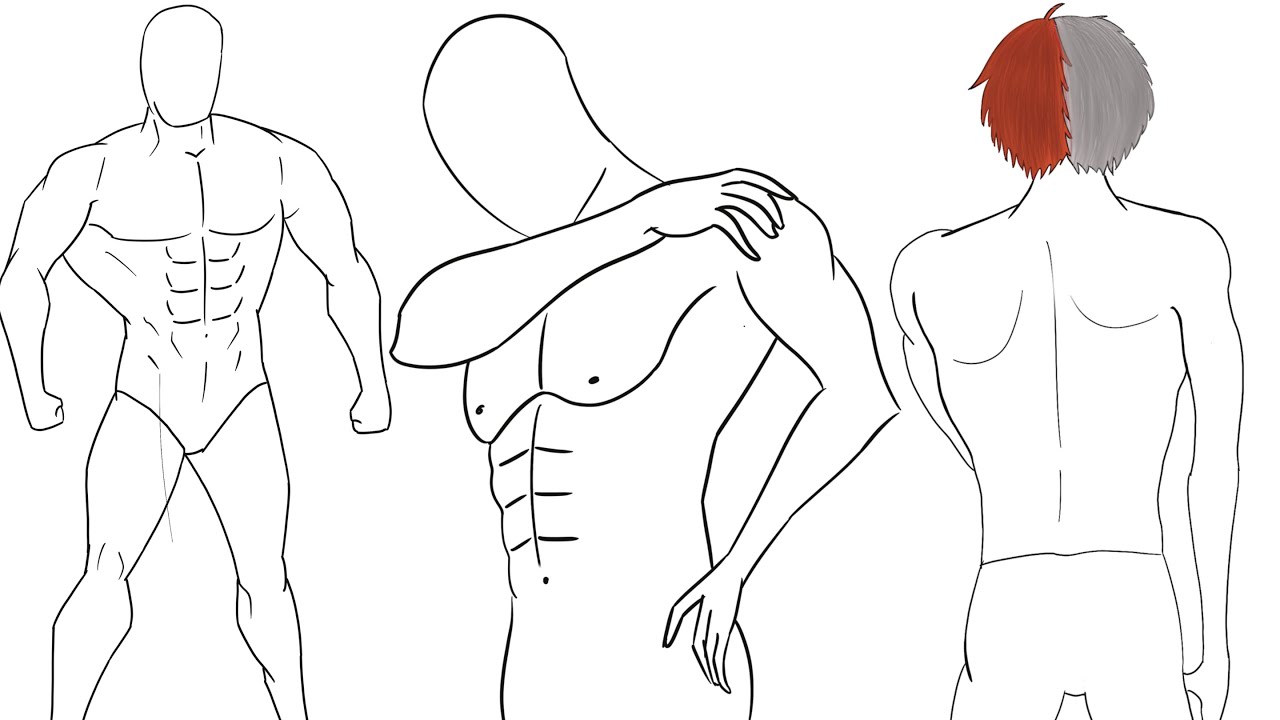 Male Body Drawing Base