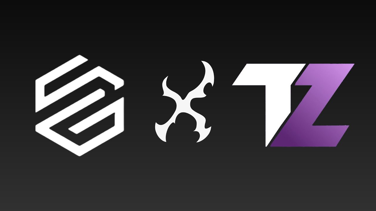 tz-project vs serwery fivem - YouTube