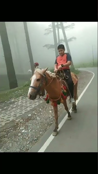 Enjoying Horse riding at patnitop😍😍# manan sahni # shorts # mausam mastana - YouTube
