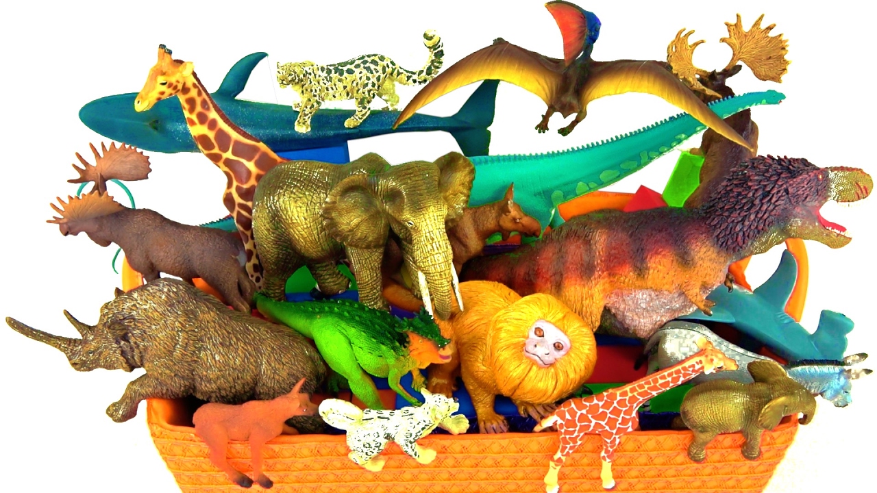 Learn Dinosaurs, Wild Animals, Sharks, Whales, Prehistoric Animals, Zoo ...