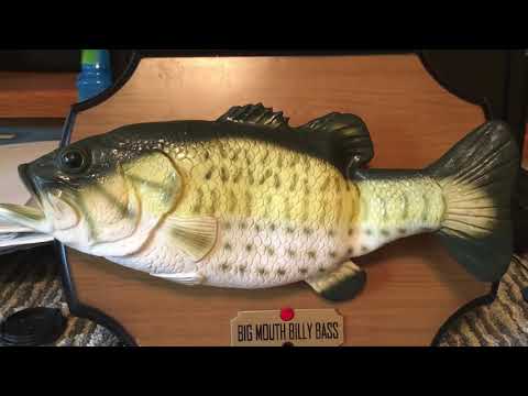 YMCA Big Mouth Billy Bass